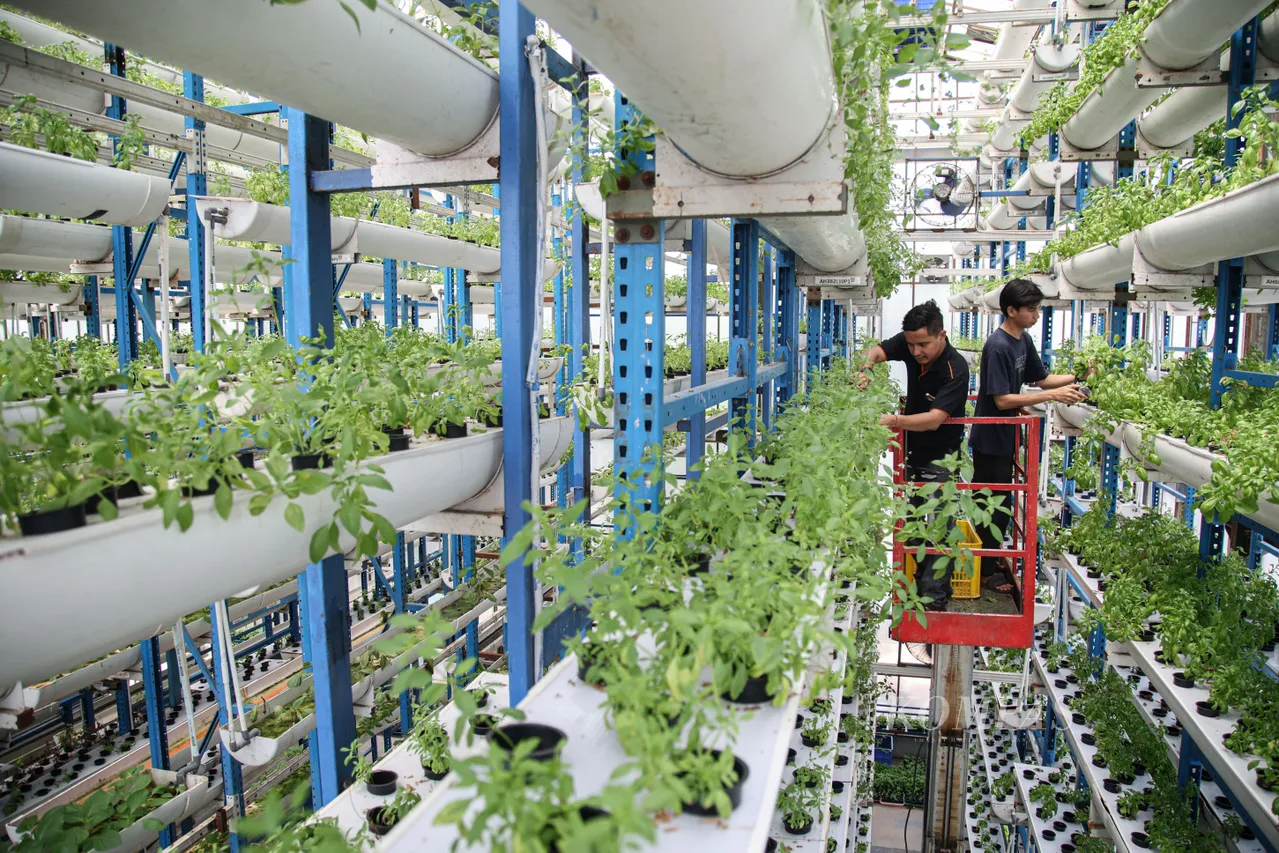 Ladang Farm: Pertanian Vertikal Modern di Tengah Kota Jakarta - Bake.co.id